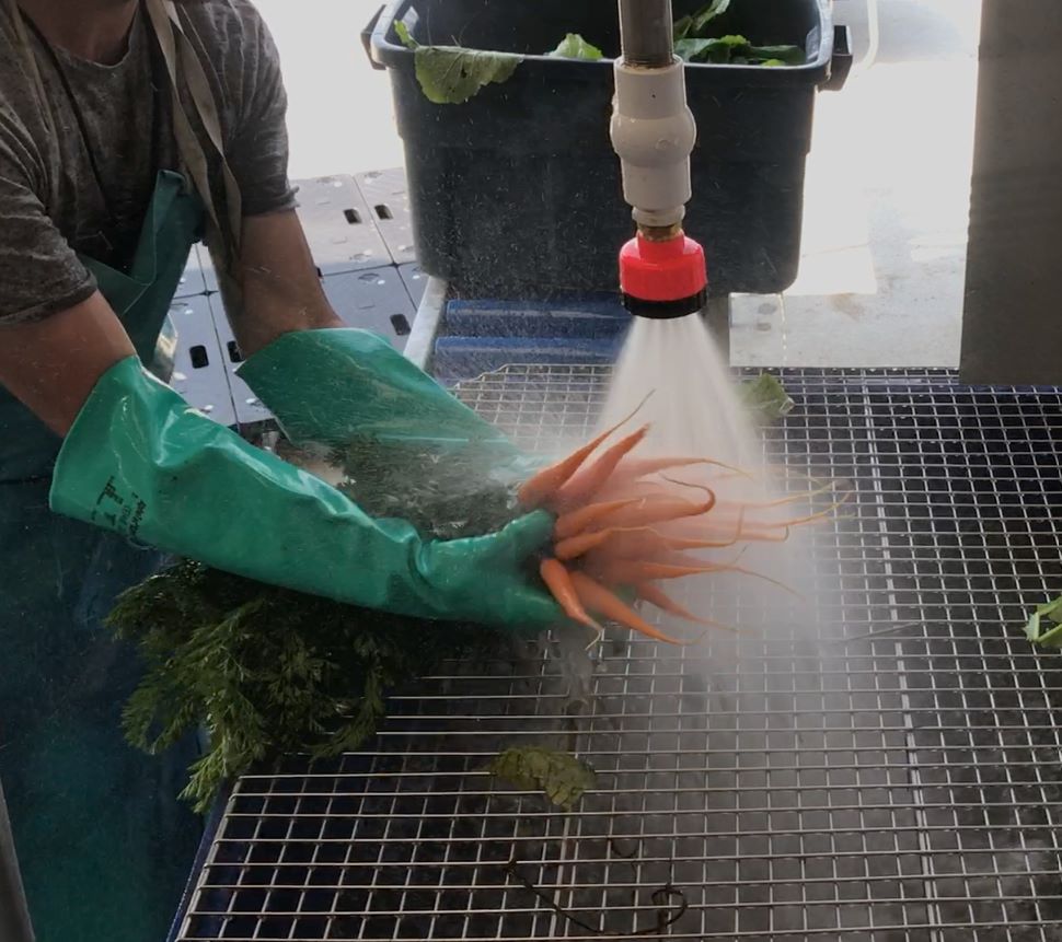 Veggicuzzi multifunctionnal washing station - Mana Culture